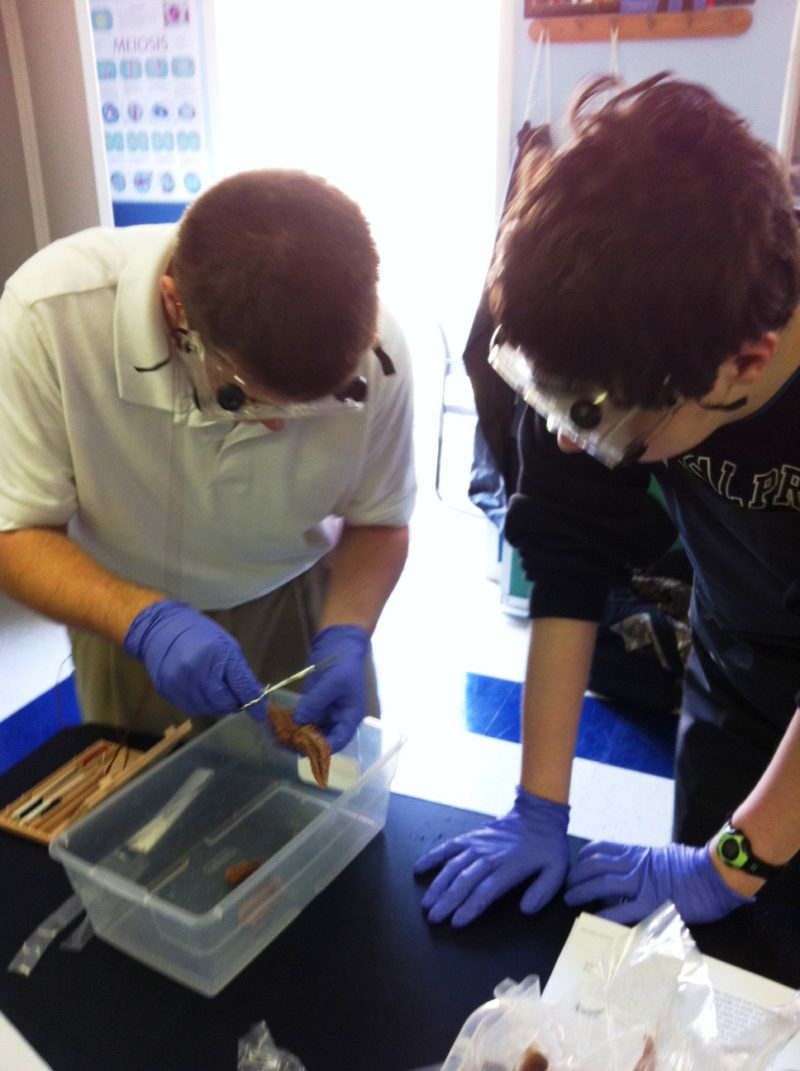 The Realities of Teen Technology Addiction - Memorial Private School